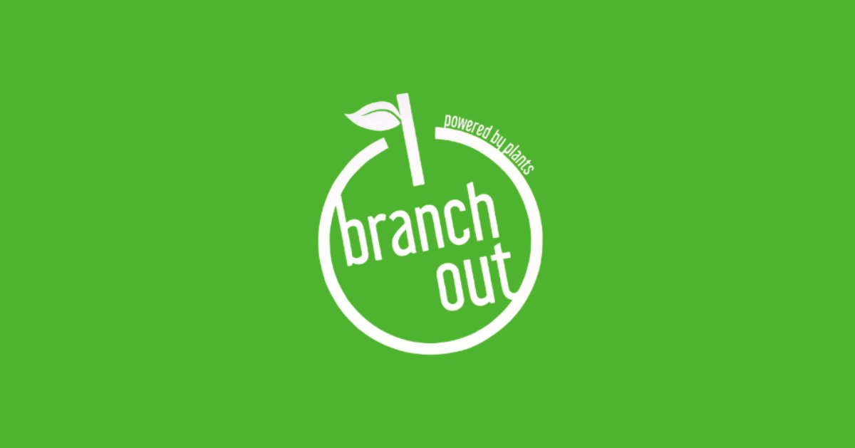 Branch Out | Flavorful Vegan Meals in Paducah – Pick Up & Delivery